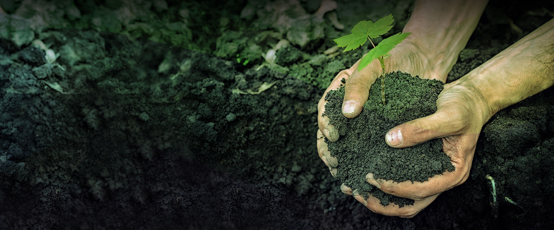 Greenstride | We Provide Best Eco Friendly Solutions