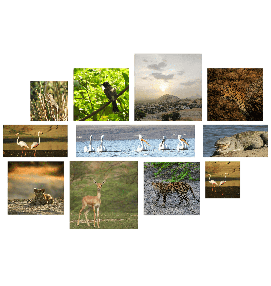 Greenstride | We Provide Best Eco Friendly Solutions