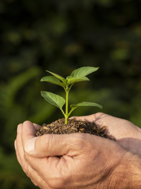 Greenstride | We Provide Best Eco Friendly Solutions